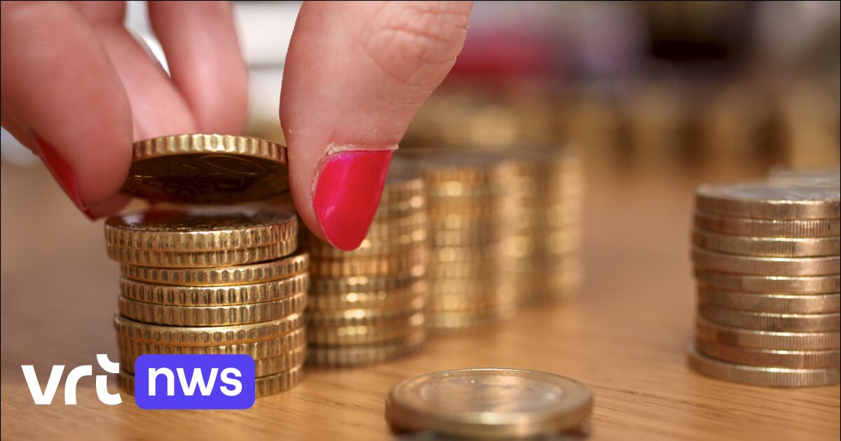 Tax burden rises in Belgium for the second consecutive year | VRT NWS: news