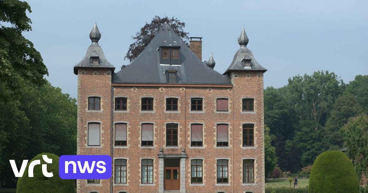 Kunstacademie in Colomakasteel, buurtcentrum in Negenmanneke en groot ...