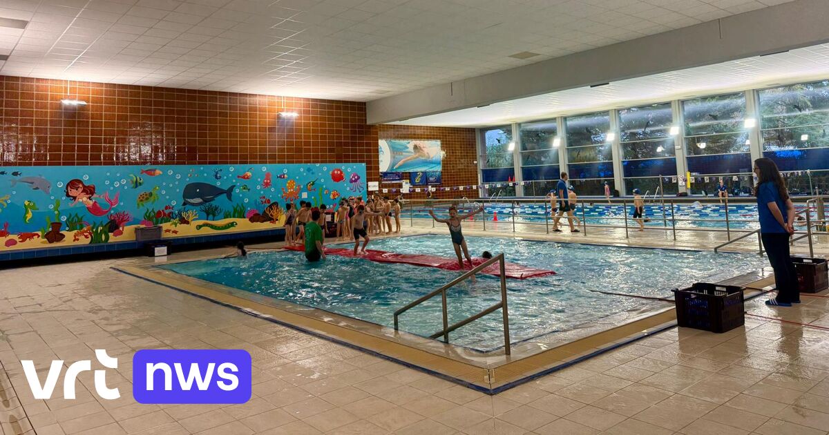 Lagere school De Platanen wint zwemmarathon in Kapellen: "Mooie ...