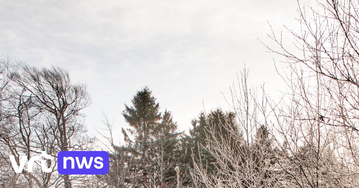 Snow graces Belgium’s highest point (VIDEO) | VRT NWS: news