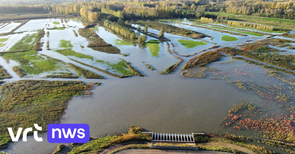 Nieuw overstromingsgebied in Vlassenbroek na jaren klaar, dorp stond in ...