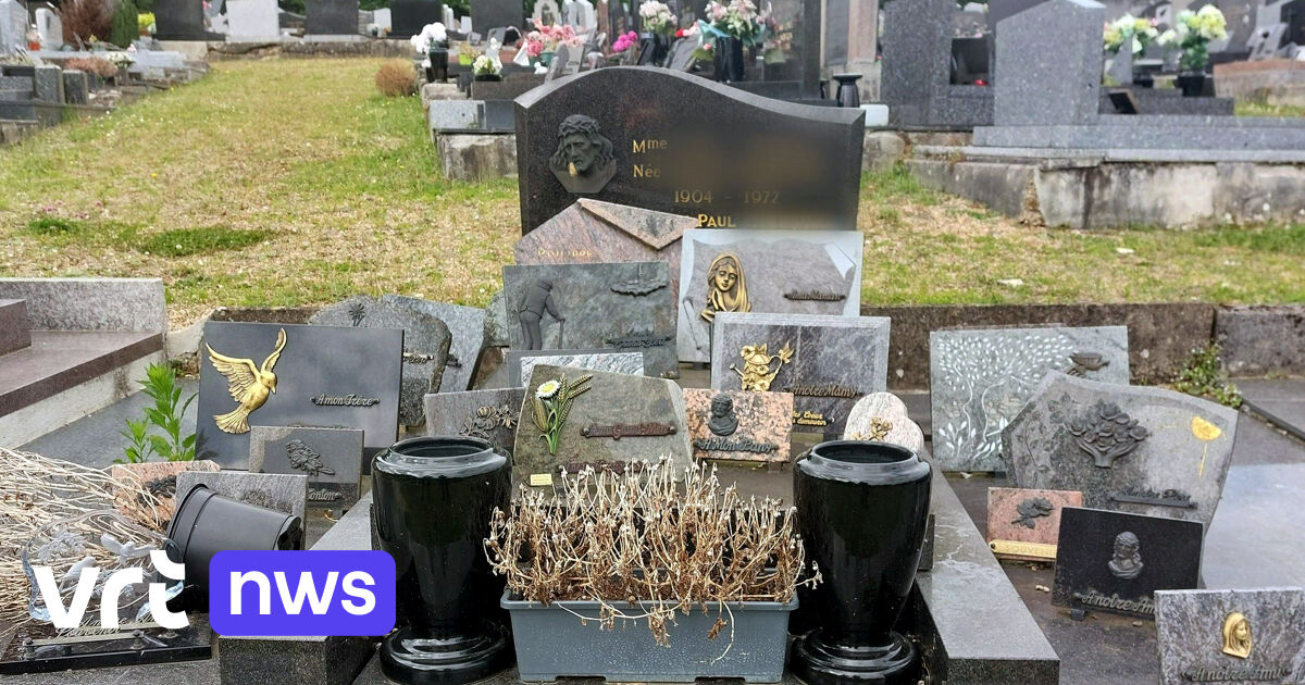 Wie zijn Franse gangsterbroers Sliman en waarom duiken ze op in dossier ...