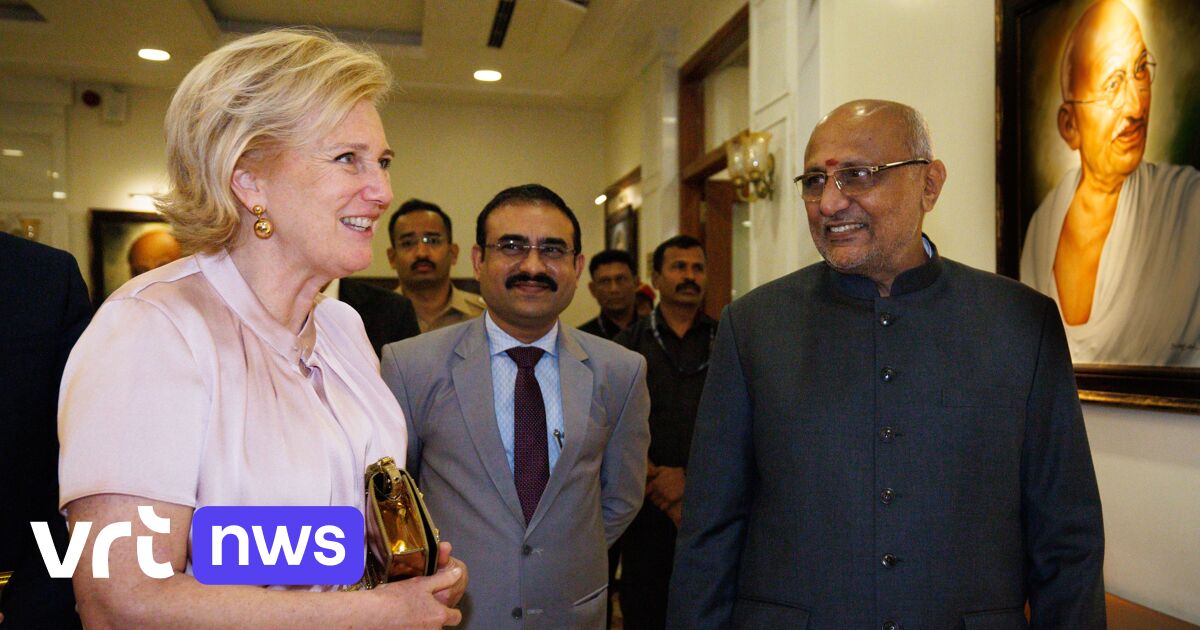 Prinses Astrid zal om gezondheidsredenen niet langer economische ...