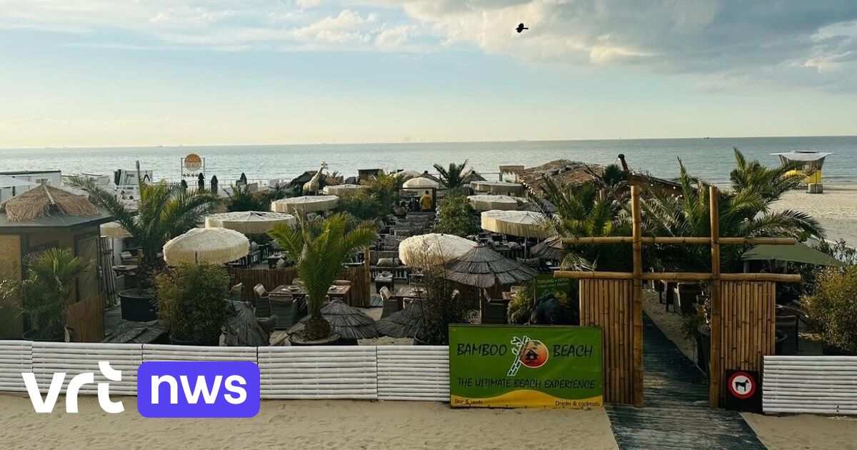 Blankenberge bouwt betonnen wandelpad op strand: "Toegankelijk voor ...