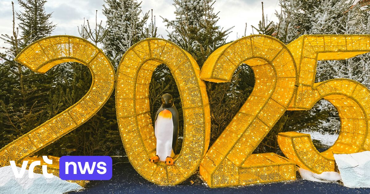 De mensen van 2025 | VRT NWS Nieuws
