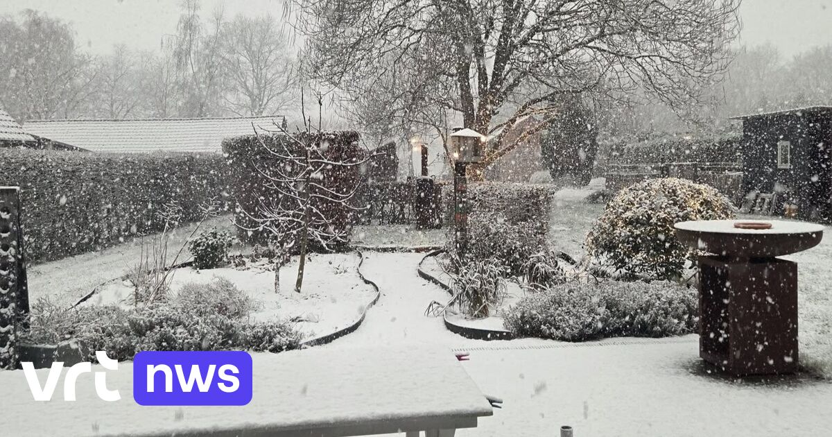 Eerste sneeuw in Limburg: "Witte vlokken vallen duchtig uit de lucht op ...