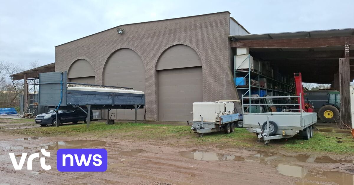 Camping Heidestrand in Zonhoven op 1 week tijd 2 keer slachtoffer van ...