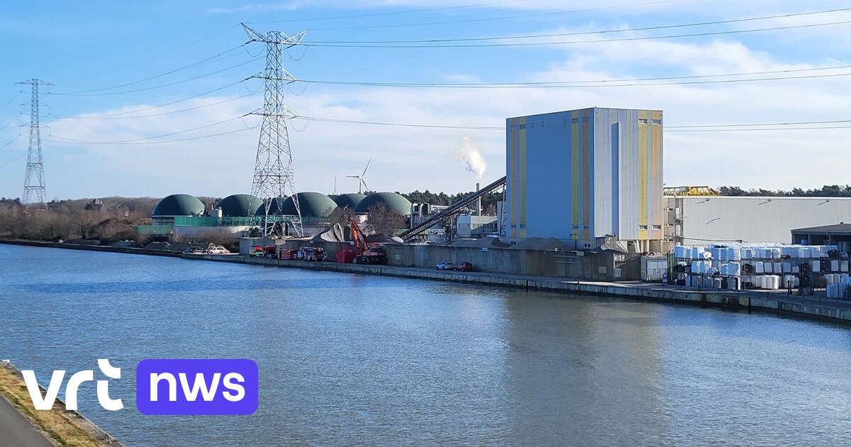 Lichaam vermiste arbeider (54) uit Albertkanaal gehaald: "Met bobcat ...