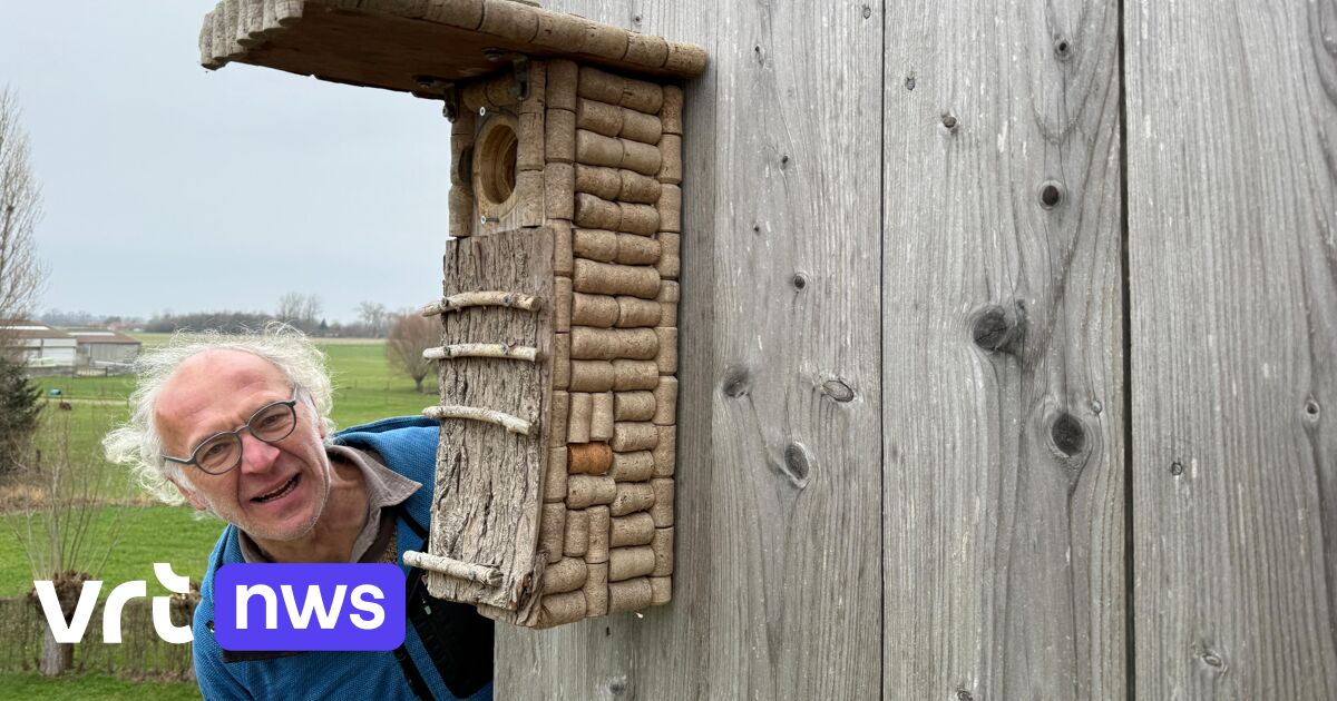 Vogelhuisje moet groene specht afleiden van historische Beukelaeremolen ...