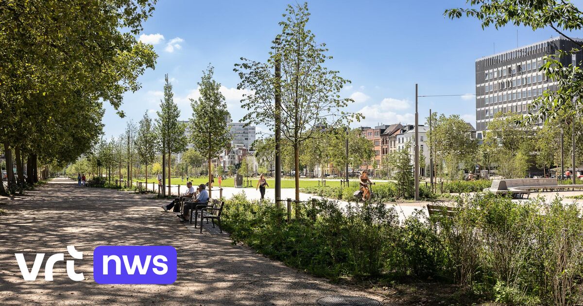 Zuidpark in Antwerpen is pak koeler dan vroegere parking: "Onder ...