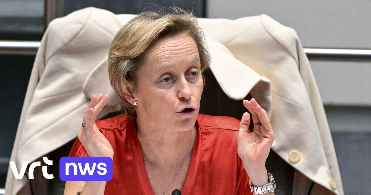 "Er is verdorie goed gewerkt": De Ridder verdedigt besparingen De Lijn ...