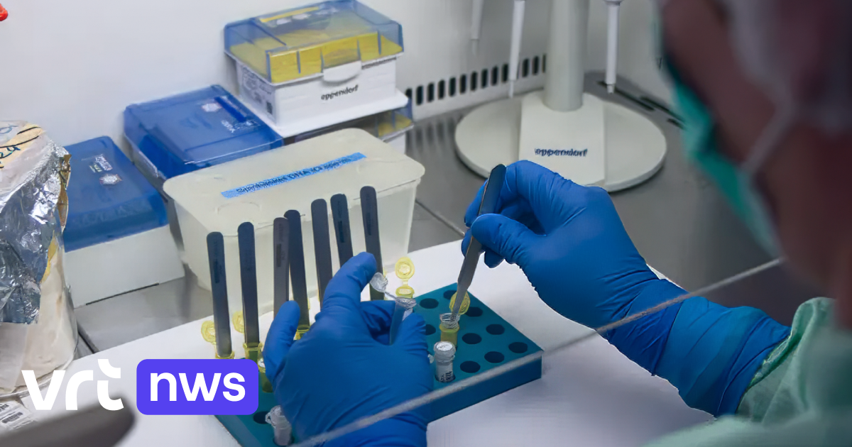 "Cold Cases": Umfassende DNA-Tests in 4 ungelösten Fällen in Antwerpen ...