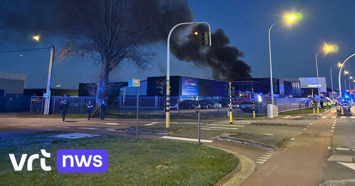 Asbest vrijgekomen bij brand autobedrijf Botti Cars in Heule, geen ...