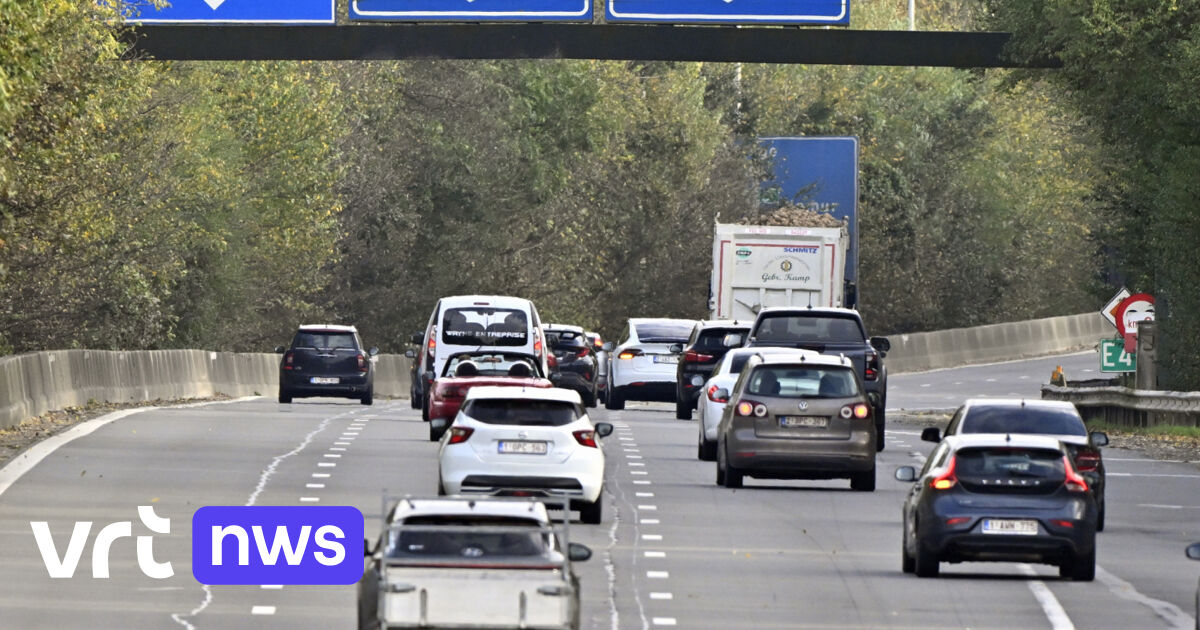 Fransman loopt weg voor politie op E19 in Rumst: agenten vinden 4 kilo ...