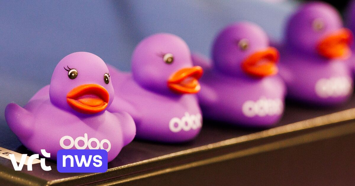 Waals softwarebedrijf Odoo groeit razendsnel en daagt SAP en Microsoft ...