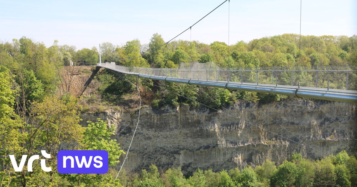 Toeristische attractie opent bij Riemst: nieuwe hangbrug is 200 meter ...