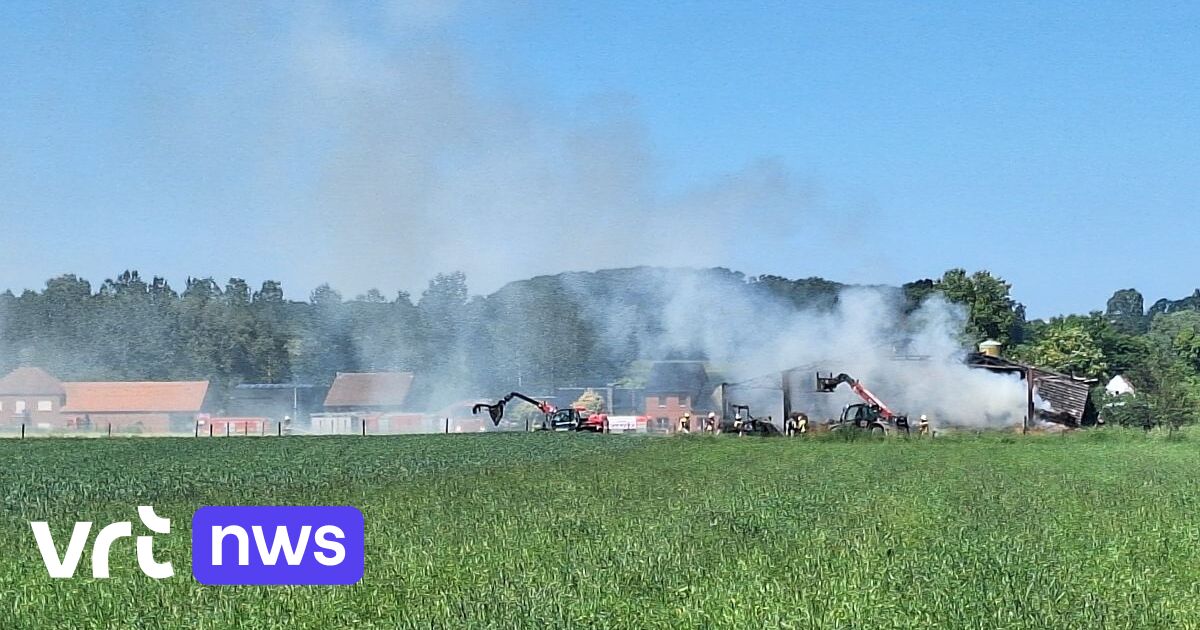 Grote stalbrand in Kortenaken moeilijk te bestrijden door hooi en stro ...