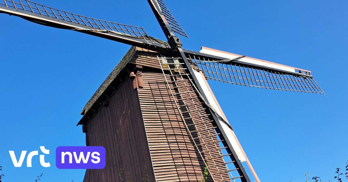 200 jaar oude molen in Diest krijgt grondige restauratie: "Eeuwenlang ...