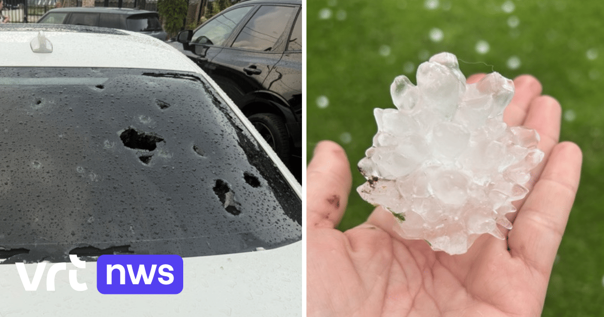 LIVE Schade aan serres, daken en auto's na zwaar onweer met hagelbollen ...