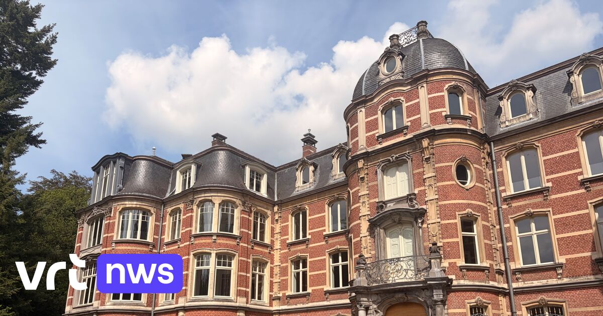 "Vernield door boktorlarven": Kasteel Ravenhof in Stabroek krijgt nieuw ...