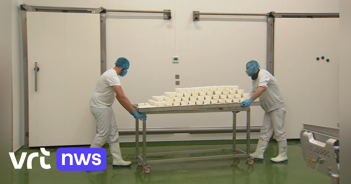 Kaas maken én zo weinig mogelijk energie verbruiken: "Dat gaat niet in ...