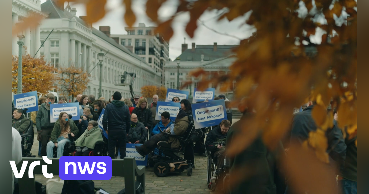 "Ik wil budget om mijn eigen keuzes te maken": mensen met handicap voeren actie tegen ...
