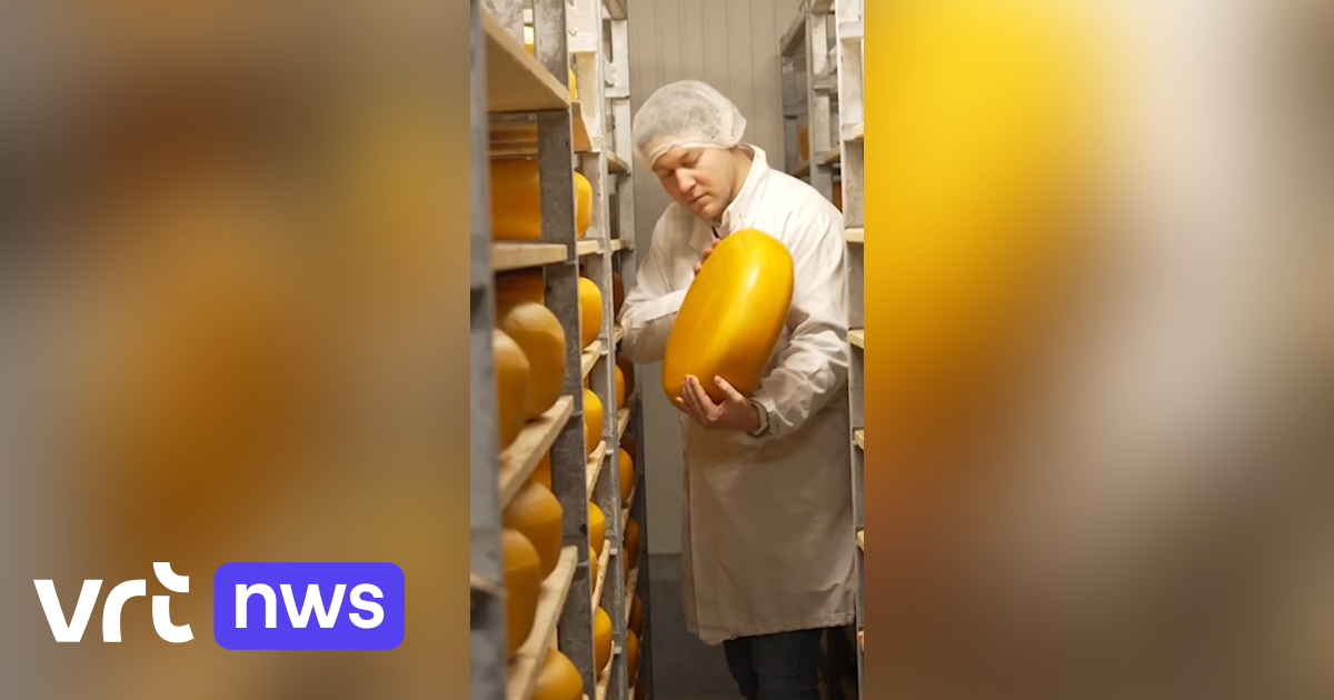 Belgische kaas met perfecte score | VRT NWS: nieuws