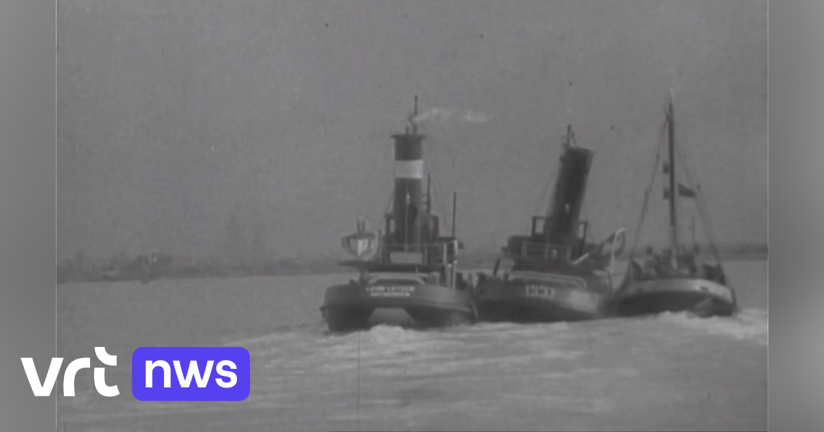 VIDEO Sleepboten: al 150 jaar onmisbaar in de Antwerpse haven | VRT NWS ...