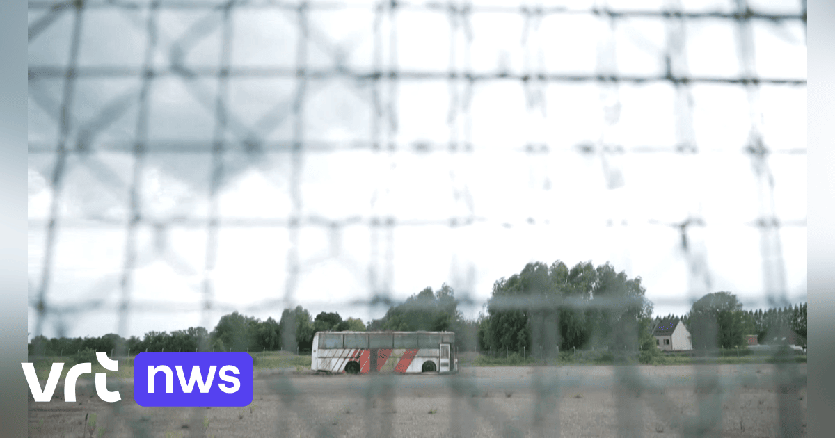 VIDEO Vlaamse regering wil industriegrond van Van Hool kopen: sublieme ...