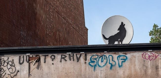 En daar is Banksy opnieuw: neushoorn is achtste kunstwerk in Londense ...