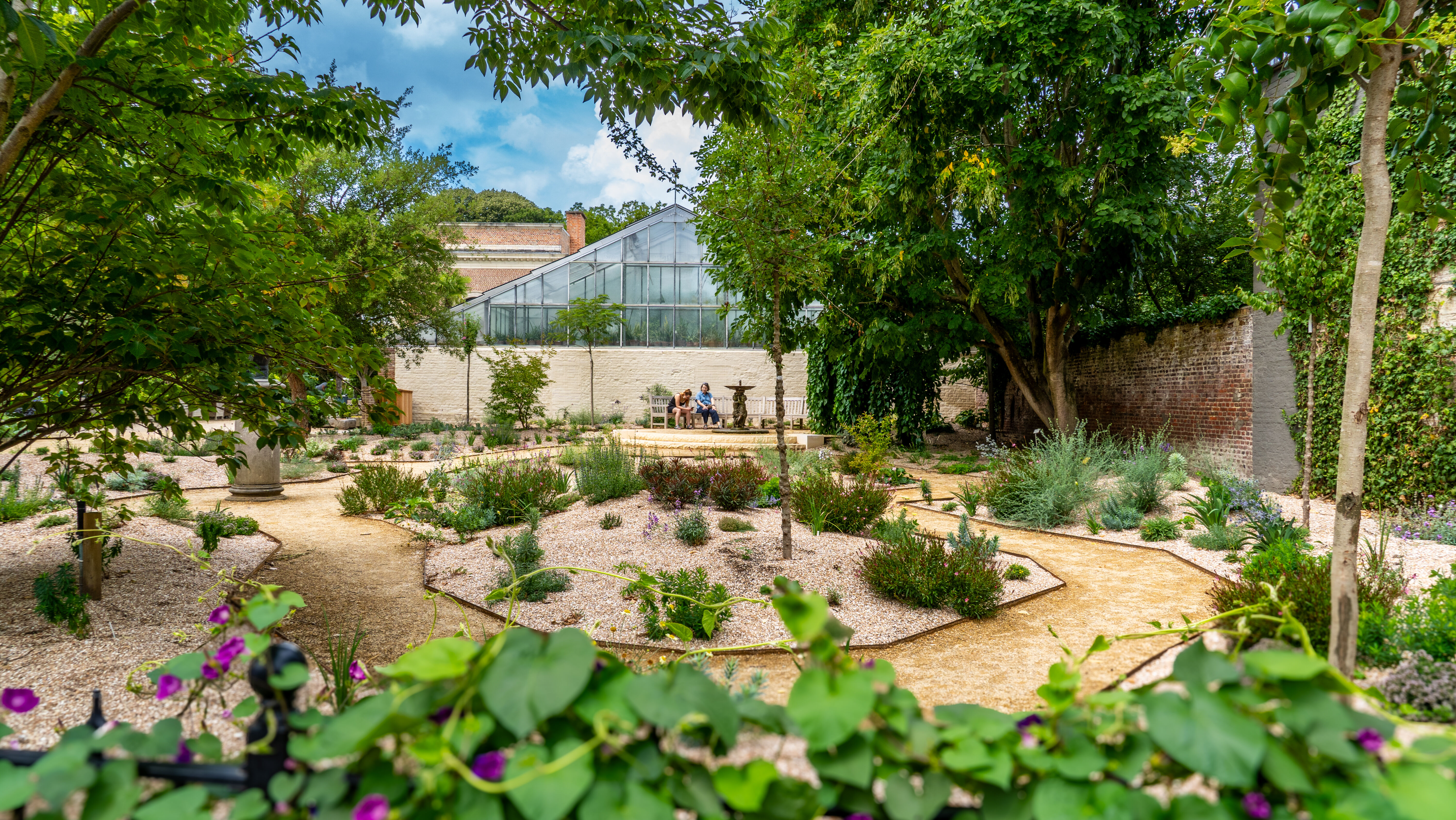 Erome nixie pearl upon arrival to the incall hotel venue, I