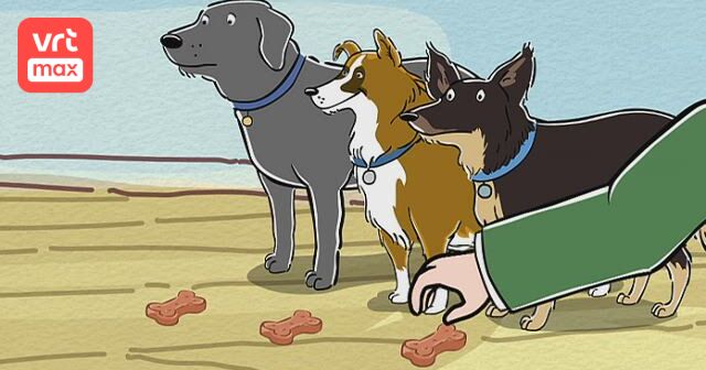 Martha Praat! - 14 (1) | VRT MAX