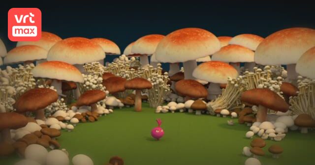 The beet party - 96 (1) | VRT MAX