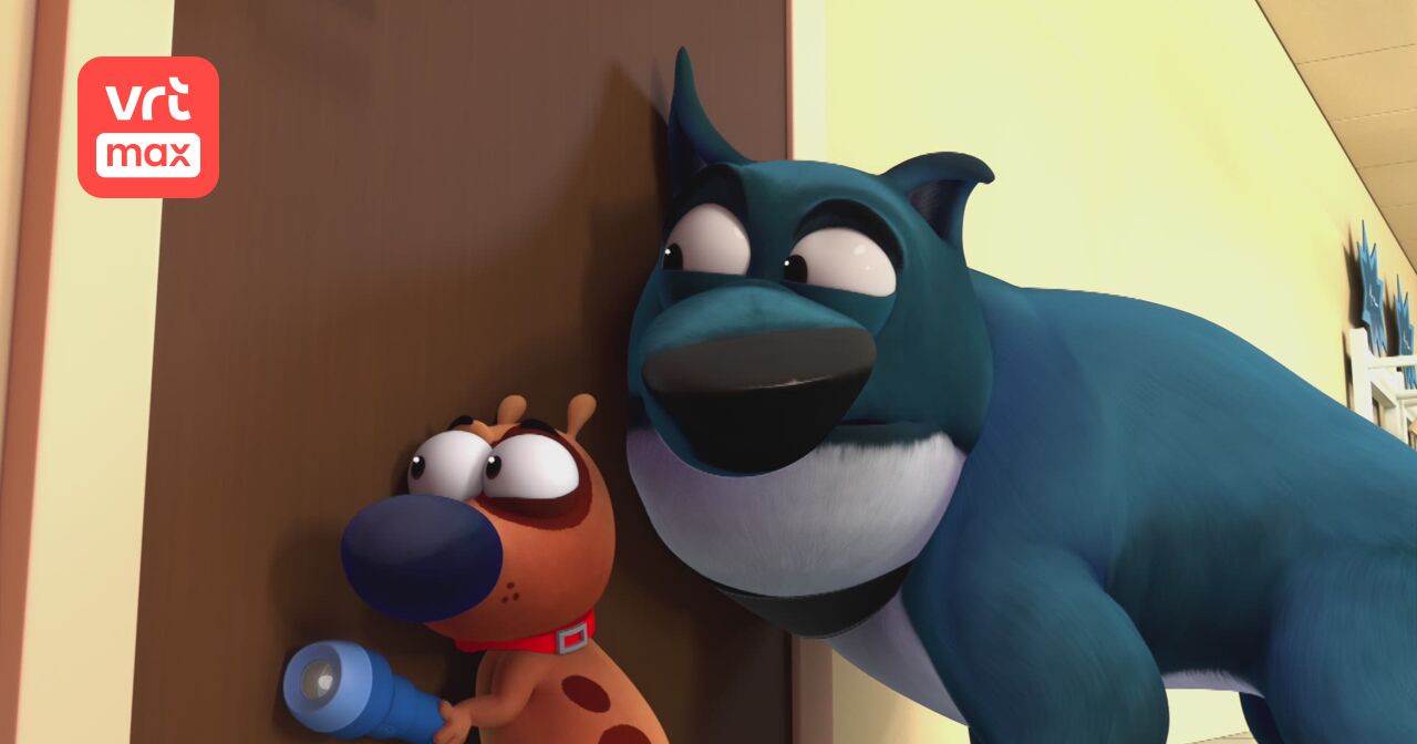 Paf de hond - 36 (1) | VRT MAX