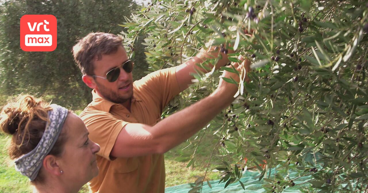 Second Chance Summer - Aflevering 4 (Seizoen 1) | VRT MAX
