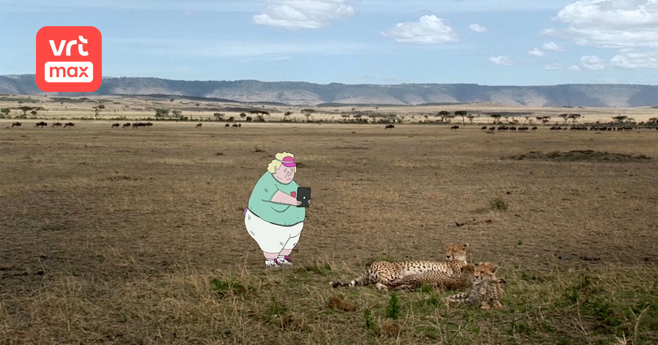 Een safari loopt niet (of net wel?) naar wens - Kijk gratis online ...