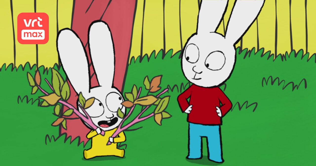 Simon - 33 (1) | VRT MAX