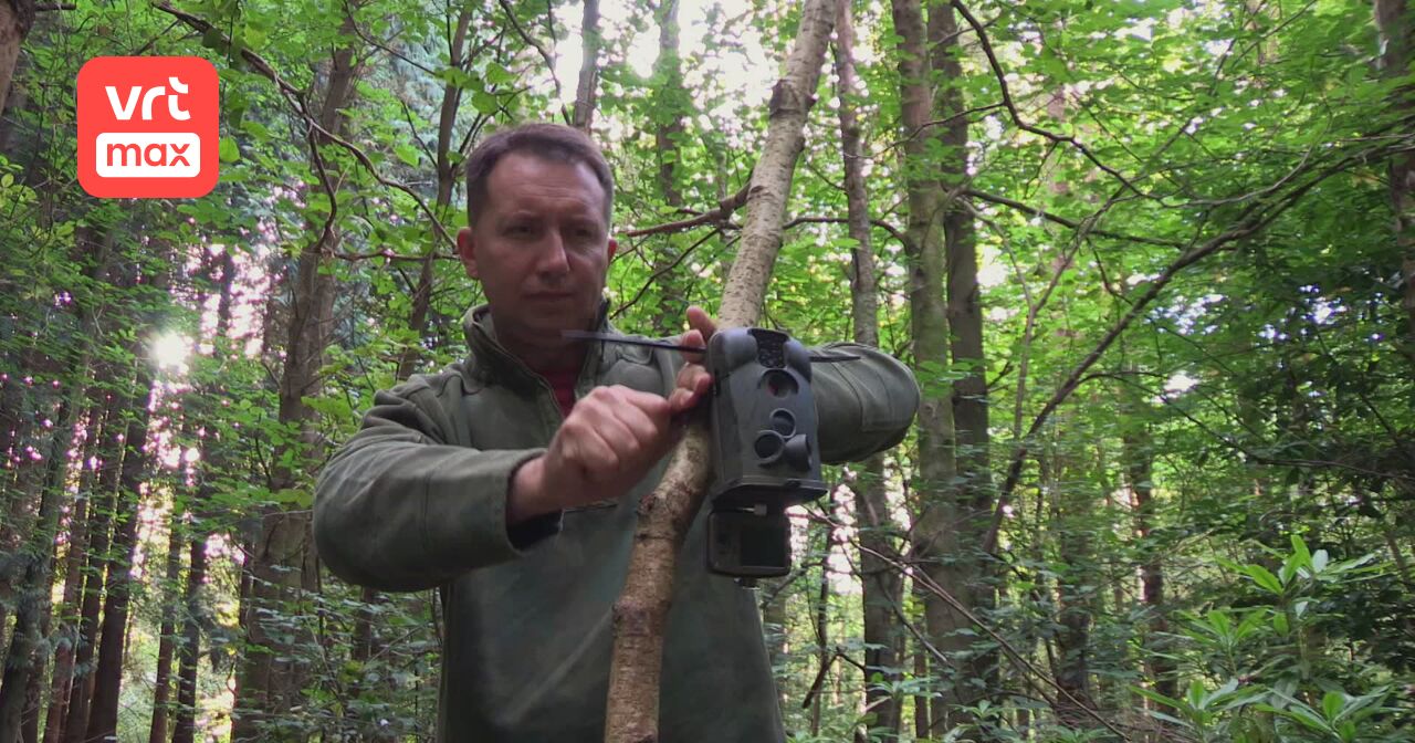 Rhys Jones's Wildlife Patrol - 3 (2) | VRT MAX