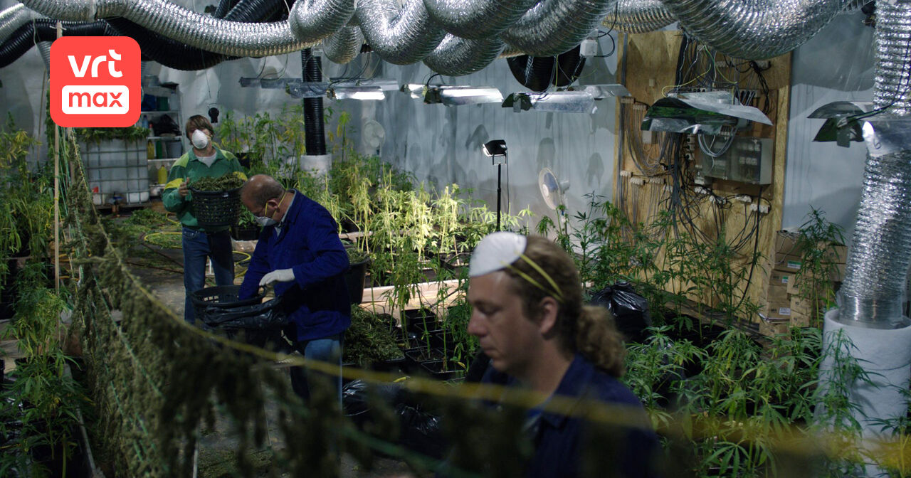 Eigen kweek - Aflevering 5 (Seizoen 1) | VRT MAX