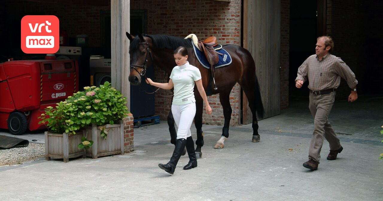 Witse - Aflevering 12 (Seizoen 5) | VRT MAX