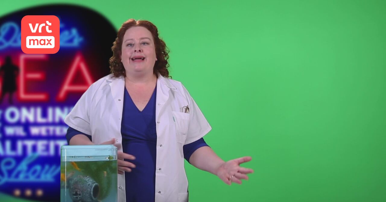 De meest gestelde vragen aan dokter Bea - Aflevering 3 (Seizoen 2019 ...