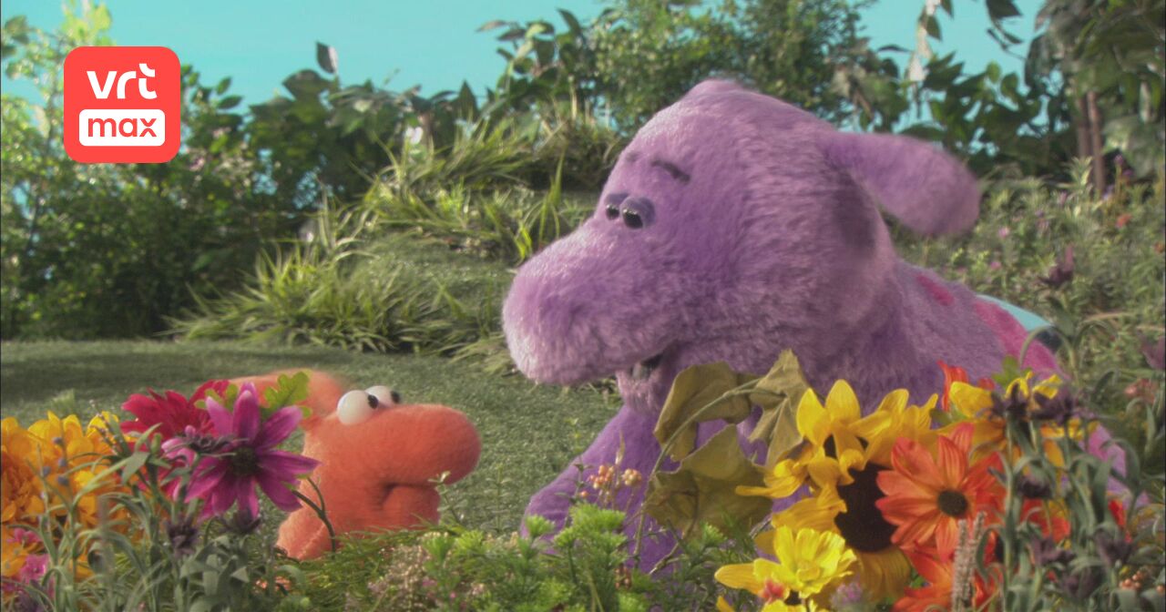 Bol en Smik - 11 (1) | VRT MAX