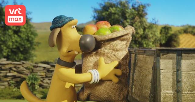 Shaun het schaap - 10 (5) | VRT MAX