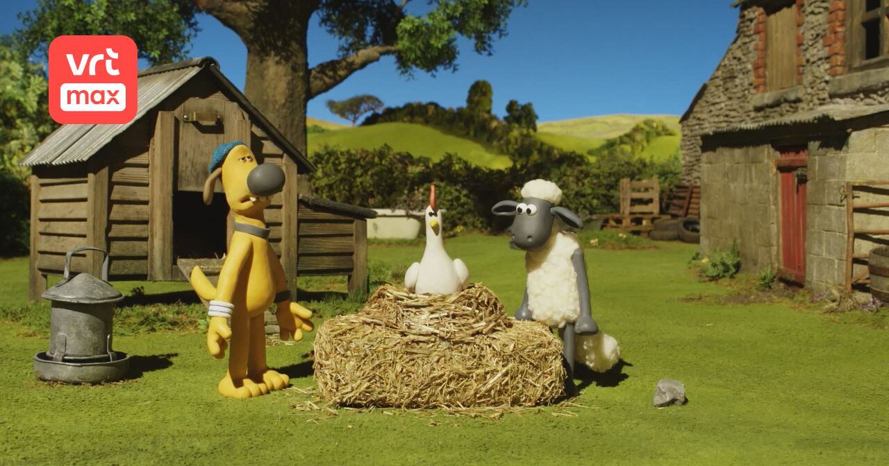 Shaun het schaap - Aflevering 6 (Seizoen 1) | VRT MAX