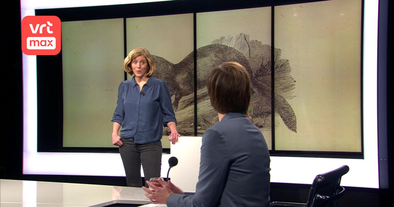 Terzake - donderdag 26 november 2020 om 20:00 | VRT MAX