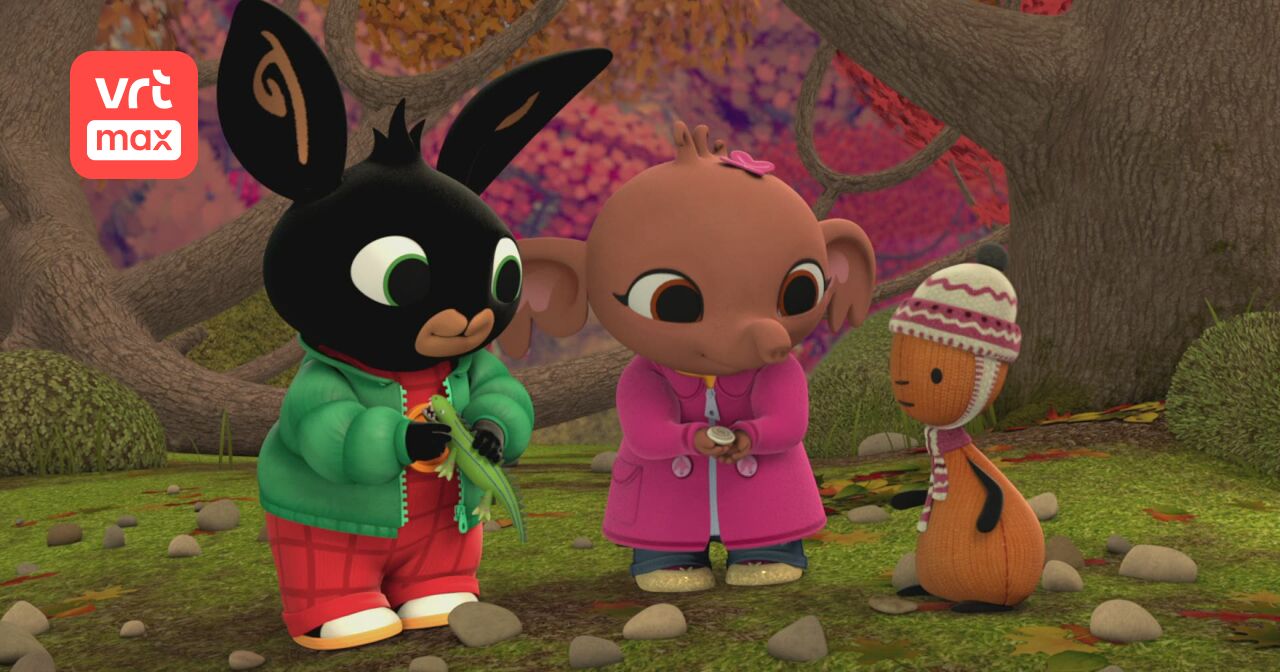 Bing - 24 (4) | VRT MAX