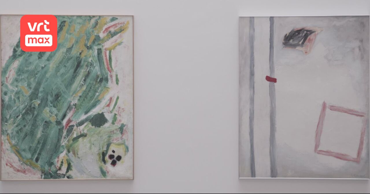 Wat maakt het Roger Raveelmuseum zo bijzonder? - Kijk gratis online ...