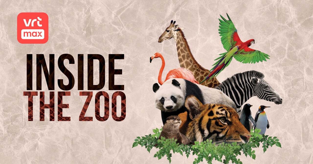Inside Edinburgh Zoo | VRT MAX