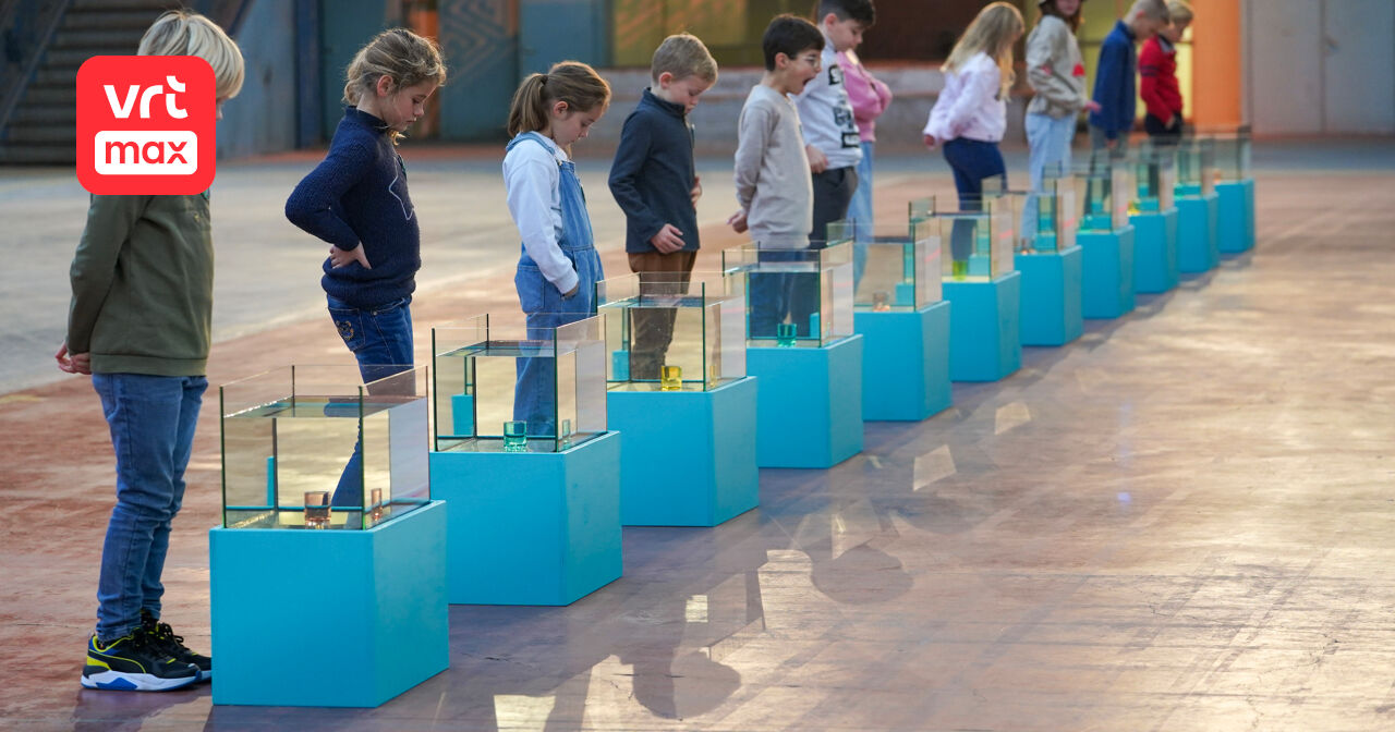 Homo universalis Ketnet - 15 (2) | VRT MAX