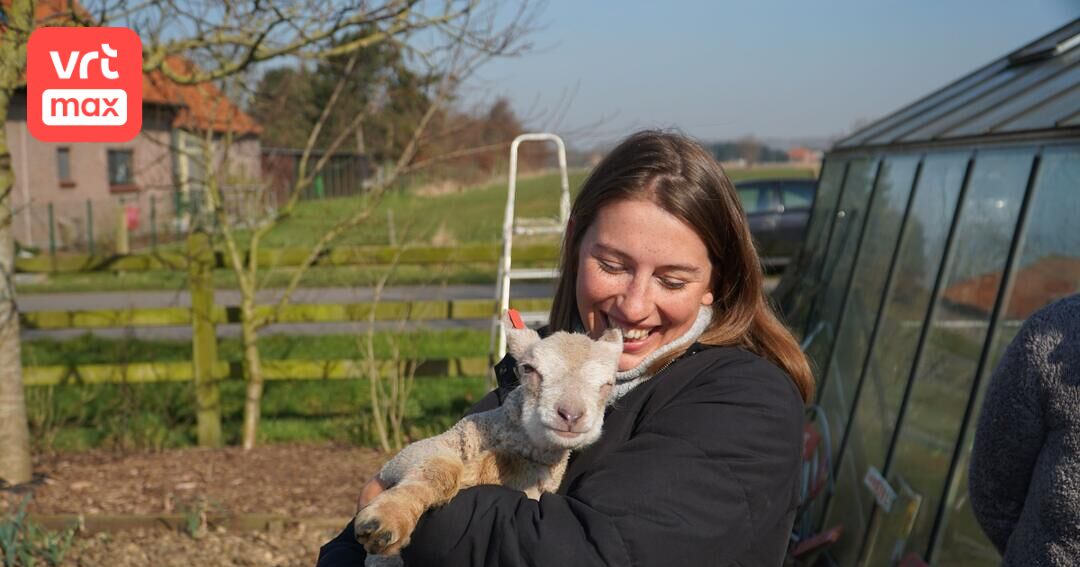 Margaux Bogaert bij vzw De Kruiskenshoeve: "Ik voel mij hier meteen thuis"
